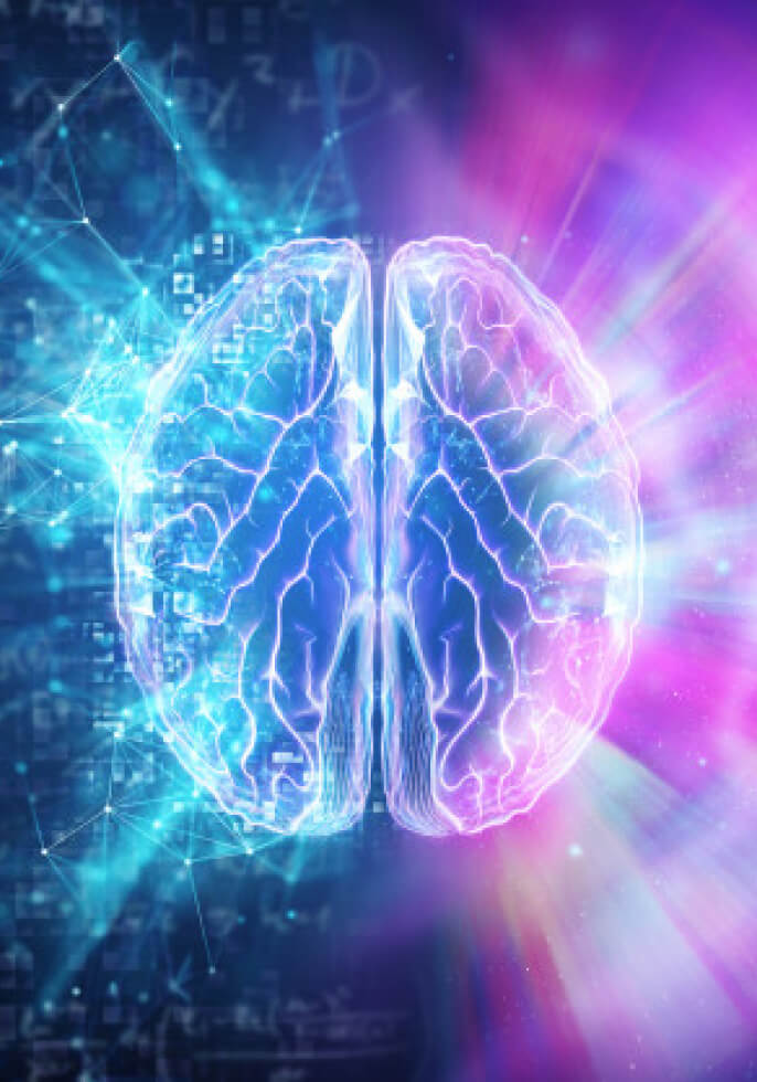 Here Are the Top 3 Neuroscience Secrets for Your Success Formula